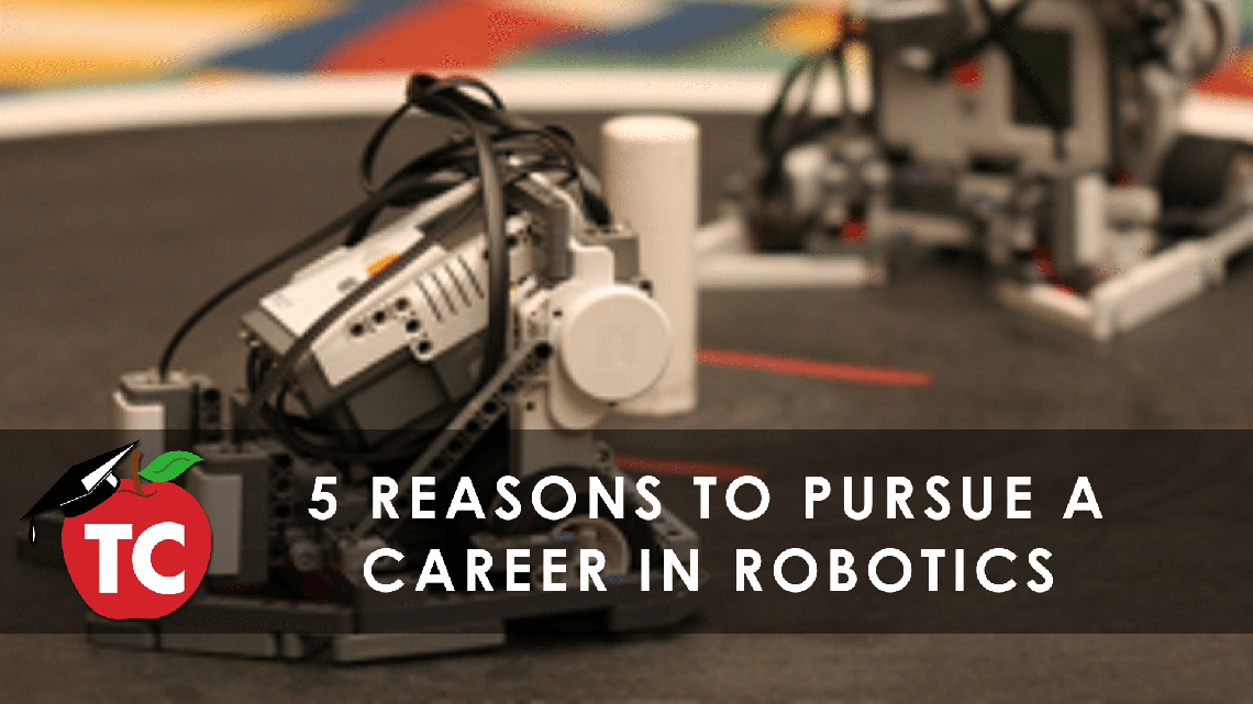A Career in Robotics