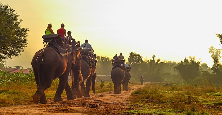 Best Places to Visit In India With Kids, Holiday Destinations with Children