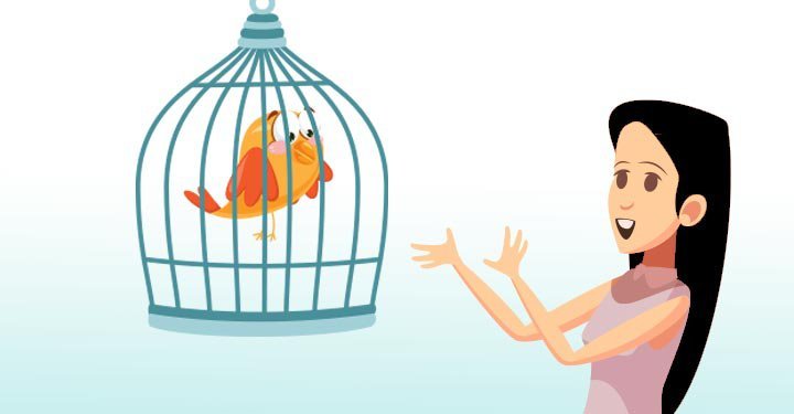 25 Short Animal Poems For Kids | Animal Rhymes | Animal Poetry