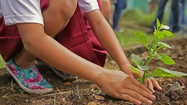 5 Charitable things every child should do, teaching kids charity