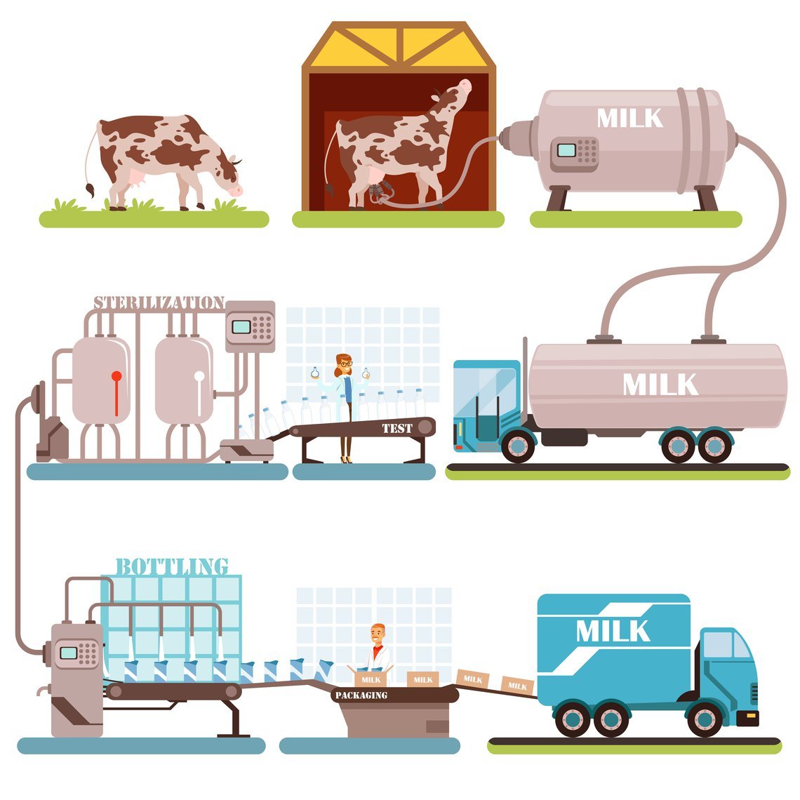 How Is Milk Produced?