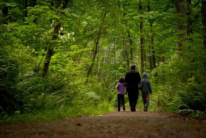 Green Parenting, The Ultimate Eco Guide to Green Parenting, Tips for ...