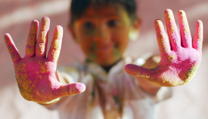 How to Make Natural Holi Colours Powder at Home, Homemade Organic DIY ...