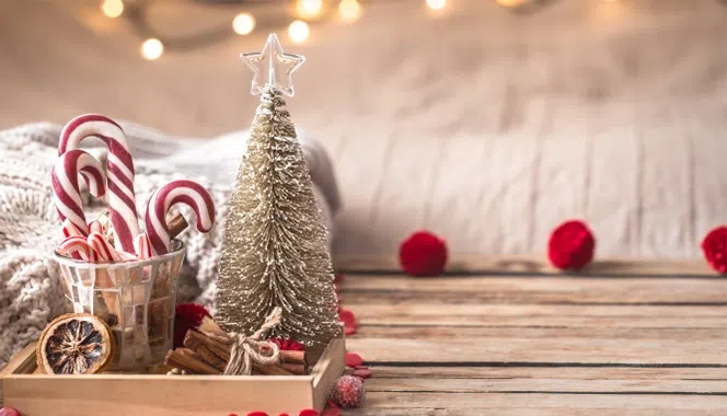 Christmas Fun Facts for Kids, Interesting Information About Christmas ...