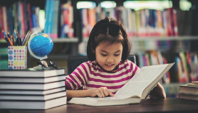 Right Brain Education Training Activities for Children, Importance of ...