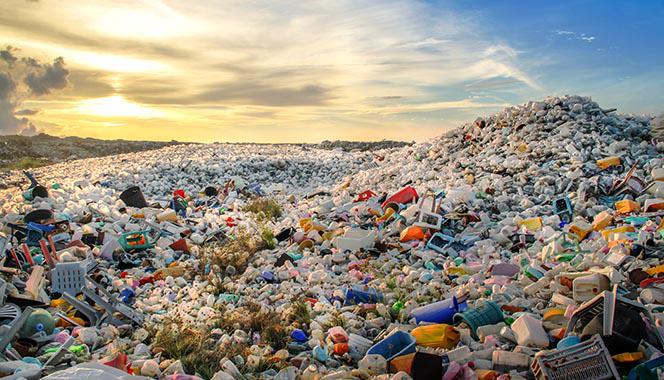 Indian Parenting Guide, Parenting Tips & Ideas, Website for Parents in ...